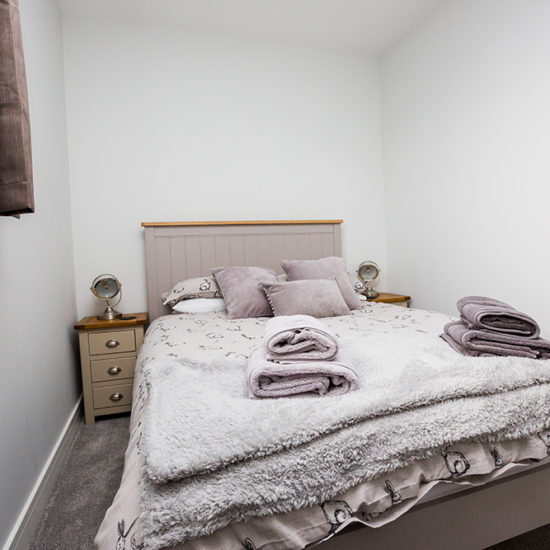 Ivy - Little Regent Hall